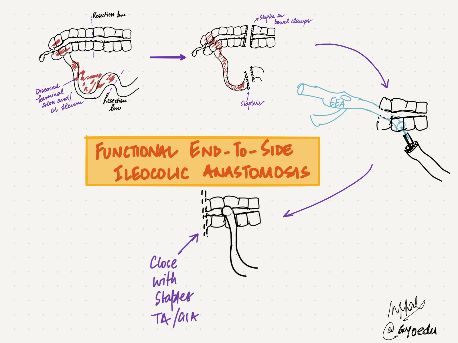 Publications Update # 16